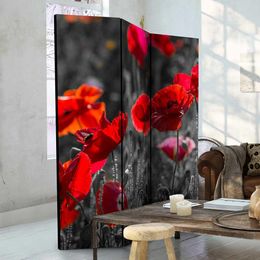 Pharao24.de Paravent mit Mohnblumen Motiv Rot und Grau