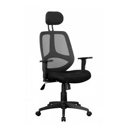 Pharao24.de Ergonomischer B&uuml;rostuhl mit Lendenwirbelst&uuml;tze hoher Lehne