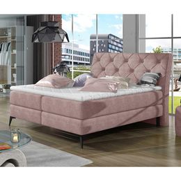 Pharao24.de Bett Funktion Boxbett in Rosa mit Bezug