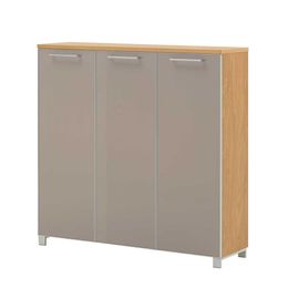 Pharao24.de Schuhkommode in Taupe Glas beschichtet Eiche furniert