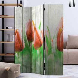 Pharao24.de Raumteiler Paravent in Bunt Tulpen Motiv
