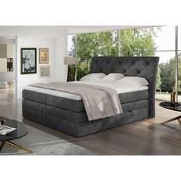 Pharao24.de Doppelbett Boxbetten in Dunkelgrau 120 cm hoch
