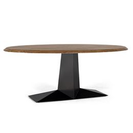 Pharao24.de Esstisch Tisch Massivholz in ovaler Form 200 cm breit