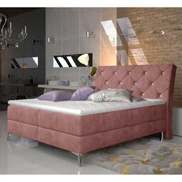 Pharao24.de Polsterbett Doppelbett in Rosenholz aus Velours