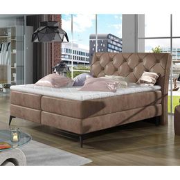 Pharao24.de Boxbett Doppelbett mit Bezug in Hellbraun