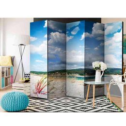 Pharao24.de Spanischer Raumteiler mit Strand Landschaft modern