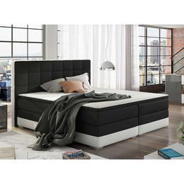 Pharao24.de Doppelbett Polsterbett mit Bettkasten in Schwarzbraun