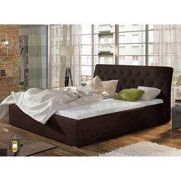 Pharao24.de Doppelbett Polsterbett mit Bezug in Braun