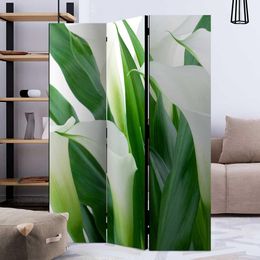 Pharao24.de Fotoprint Paravent in Wei&szlig; und Gr&uuml;n Callabl&uuml;ten Motiv