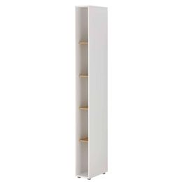 Pharao24.de Schmales B&uuml;ro Aktenregal 20 cm breit 200 cm hoch