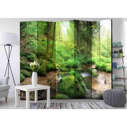 Pharao24.de Leinwand Raumteiler mit Wald Motiv 225 cm breit