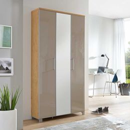 Pharao24.de Dielenschrank in Taupe Eiche Bianco furniert Glas beschichtet