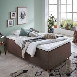 Pharao24.de Boxspring Bett H3 in Braun Webstoff & Birkenholz