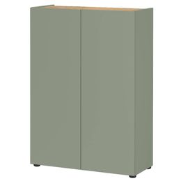 Pharao24.de Schuhschrank Schrank in Graugr&uuml;n 2 t&uuml;rig