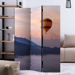 Pharao24.de Paravent Panorama Motiv in Bunt 135 oder 225 cm Breite