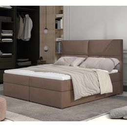Pharao24.de Boxspringbett Stoffbett in Braun aus Samt