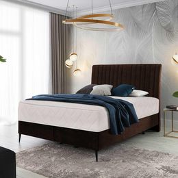 Pharao24.de Boxspringbett Doppelbett in Dunkelbraun aus Webstoff