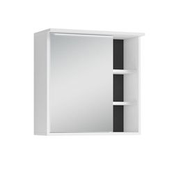 Pharao24.de Spiegelschrank Badezimmerspiegelschrank 61 cm hoch 60 cm breit