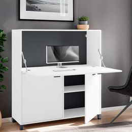 Pharao24.de Sekret&auml;rschrank Sekret&auml;r mit Dreht&uuml;ren in modernem Design