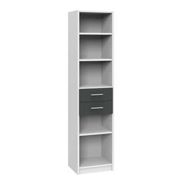 Pharao24.de Standregal mit zwei Schubladen in Dunkelgrau & Wei&szlig; 48 cm breit