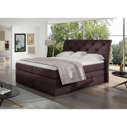 Pharao24.de Boxbett Bett Funktion in Dunkelbraun aus Velours