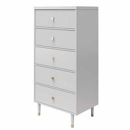 Pharao24.de Hohe Schubladenkommode in Hellgrau und Goldfarben 70 cm breit