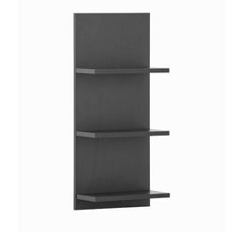 Pharao24.de H&auml;ngeregal Wand Regal in Anthrazit mit R&uuml;ckwand