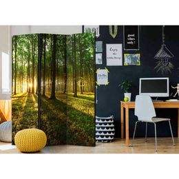 Pharao24.de Spanische Wand 135 cm breit mit Wald Motiv
