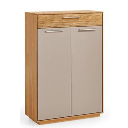 Pharao24.de Schuh Schrank Schuhgarderobe in Taupe und Eiche Bianco