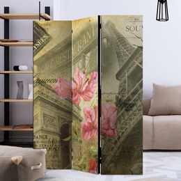 Pharao24.de Vintage Paravent in Bunt PARIS Motiv und Blumen