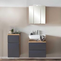 Pharao24.de G&auml;ste WC M&ouml;bel Set in Wildeichefarben Dunkelgrau (dreiteilig)