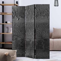 Pharao24.de Paravent in Grau Industry und Loft Stil