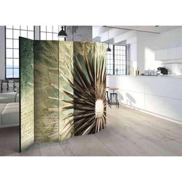 Pharao24.de Raumtrennwand mit Pusteblumen Motiv in Nahaufnahme 225 cm breit
