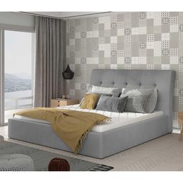 Pharao24.de Doppelbett Polsterbett in Grau aus Samt