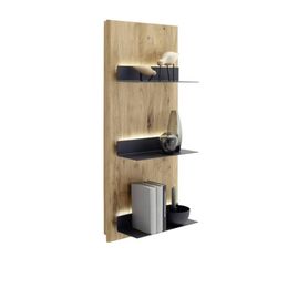 Pharao24.de Wandregal Wandboard in Wildeichefarben und Anthrazit
