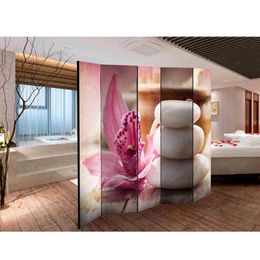 Pharao24.de Spanische Wand im Spa Design Grau und Pink