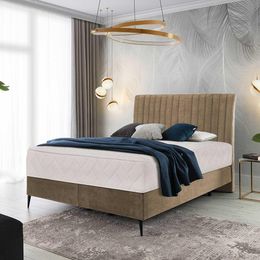 Pharao24.de Boxspringbett Doppelbett aus Velours in Beige