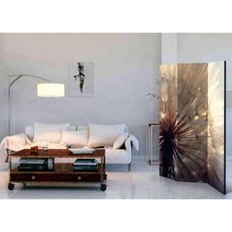 Pharao24.de Motiv Paravent im Pusteblumen Design Grau und Braun