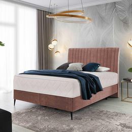 Pharao24.de Boxspring Bett Polsterbett in Rosenholz aus Velours