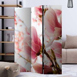 Pharao24.de Paravent beidseitig bedruckt Magnolien Motiv