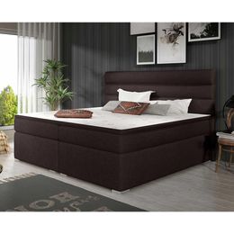 Pharao24.de Bett Stauraum Bett in Braun 122 cm Kopfteil