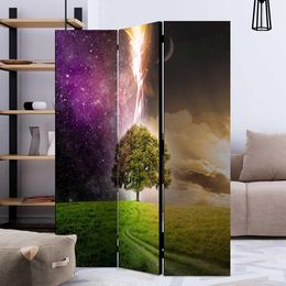 Pharao24.de Fotodruck Raumtrenner in Bunt Motiv Baum
