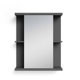 Pharao24.de Spiegelschrank Bad modern in Anthrazit melaminbeschichtet 60x70x25 cm