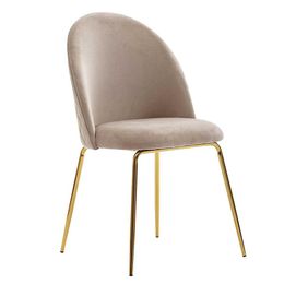 Pharao24.de Esszimmer St&uuml;hle in Beige Samt Retrostil (2er Set)