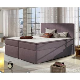 Pharao24.de Stauraum Betten Doppel Bett in Mauve 60 cm Einstiegsh&ouml;he