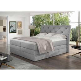 Pharao24.de Doppelbett Boxbetten in Hellgrau 120 cm hoch