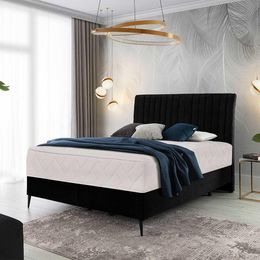 Pharao24.de Boxspringbett Doppelbett in Schwarz aus Webstoff