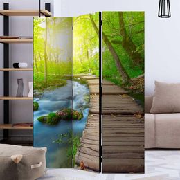 Pharao24.de Indoor Sichtschutzwand mit Wald Motiv Leinwandf&uuml;llung