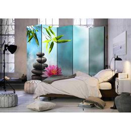 Pharao24.de Paravent mit Wellness Motiv 5 teilig