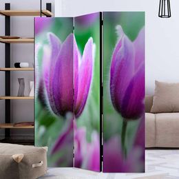 Pharao24.de Paravent beidseitig bedruckt Blumen Motiv